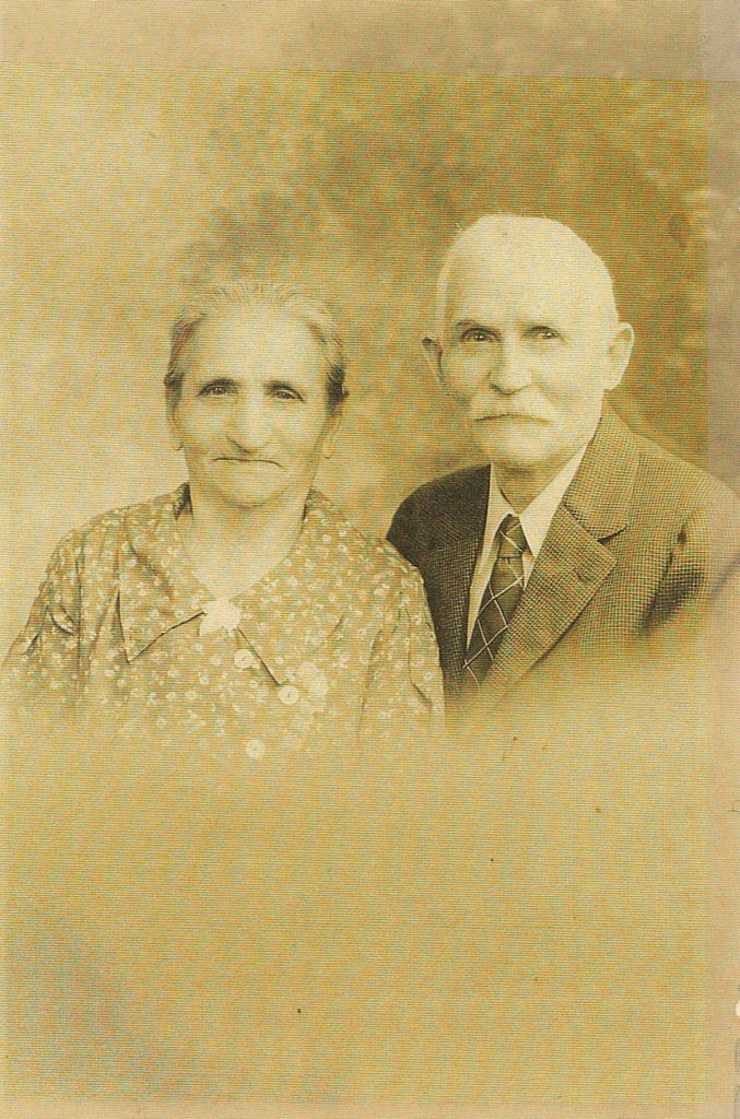 See Schmidt Family History in Living Color – Hans Schmidt Family ...