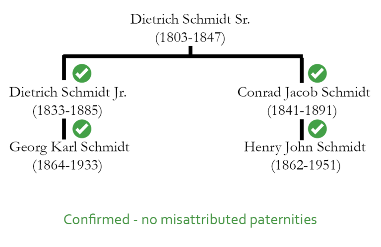 What We Know About Our Schmidt Genetics on DNA Day 2023 – Hans Schmidt ...